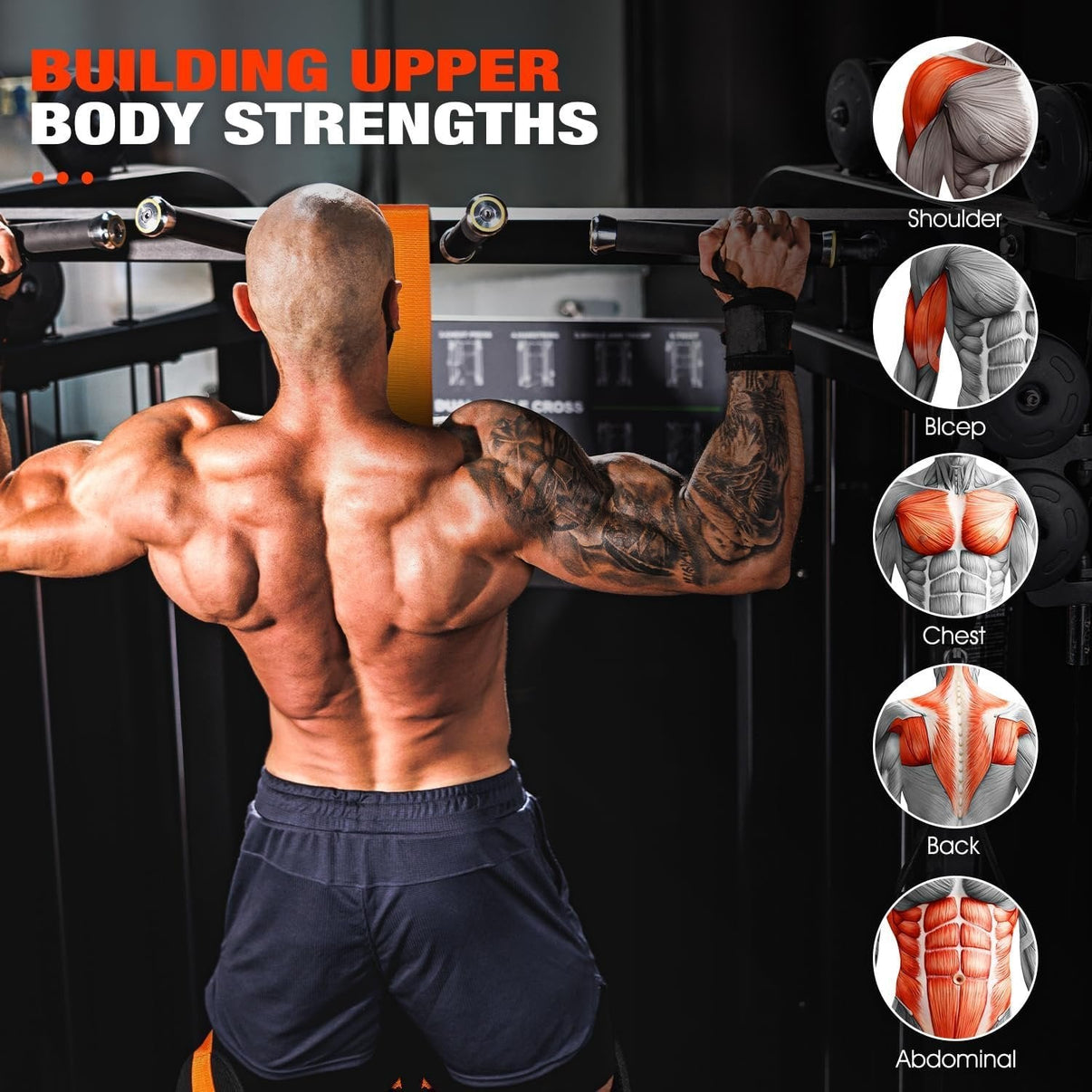 Heavy-Duty Pull Up Workout Band – sususummer.com