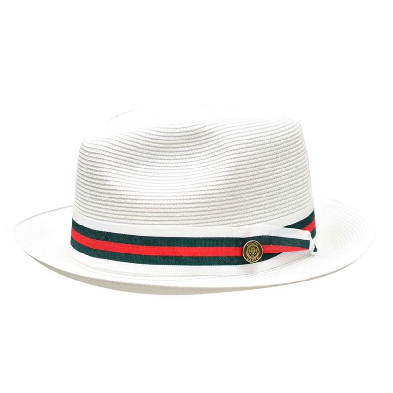 Classic Panama Hat-Remo – sususummer.com