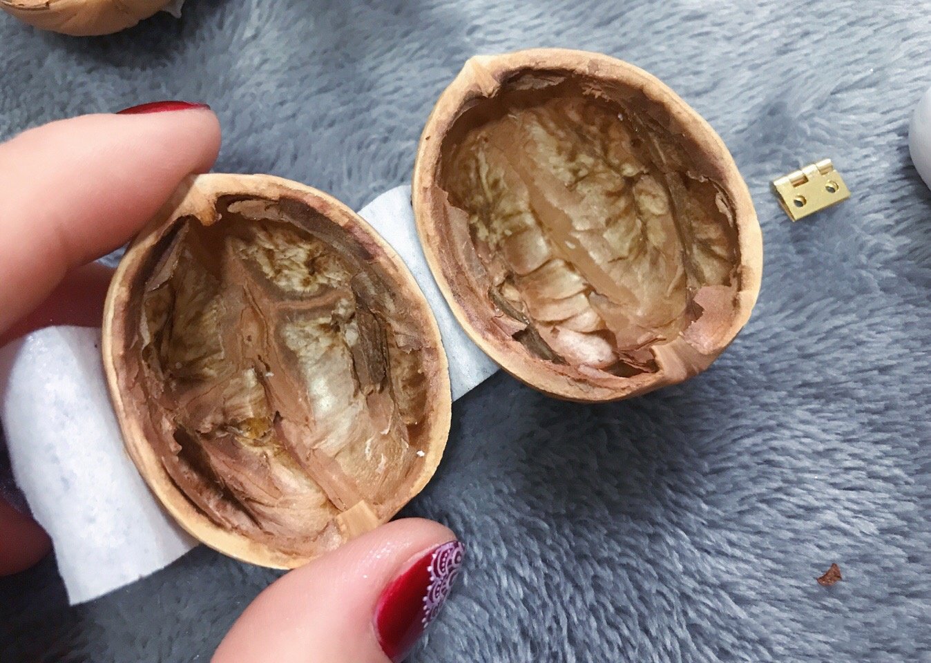 Handmade.Walnut Shell Doll House--mini library, tiny World inside waln ...