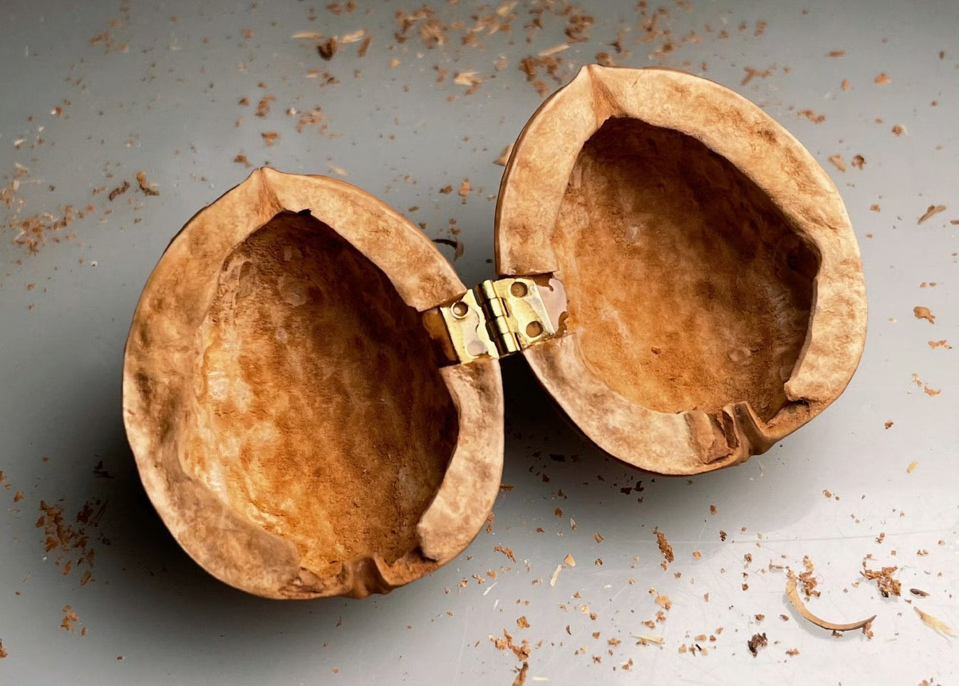 Handmade.Walnut Shell Doll House--mini library, tiny World inside waln ...