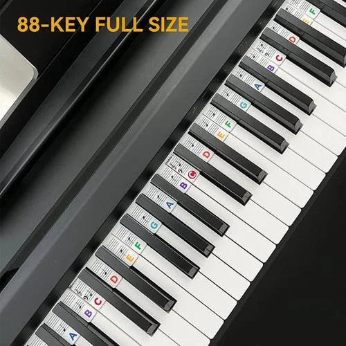 Best Gift - Removable Piano Keyboard Note Labels – sususummer.com