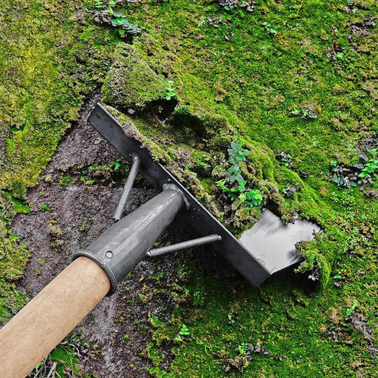 Multifunctional Cleaning Shovel – sususummer.com